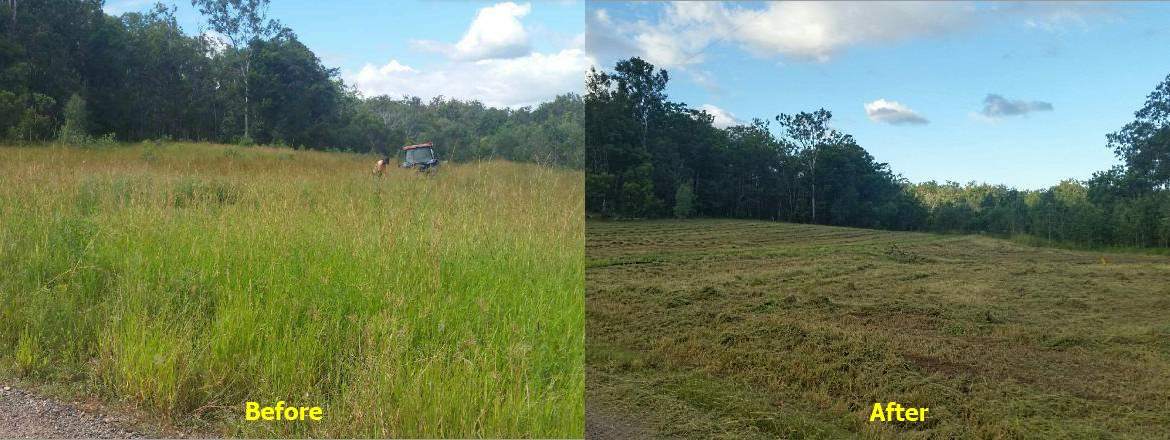 Grazing Pines - experienced slashing contractors for any job large or small