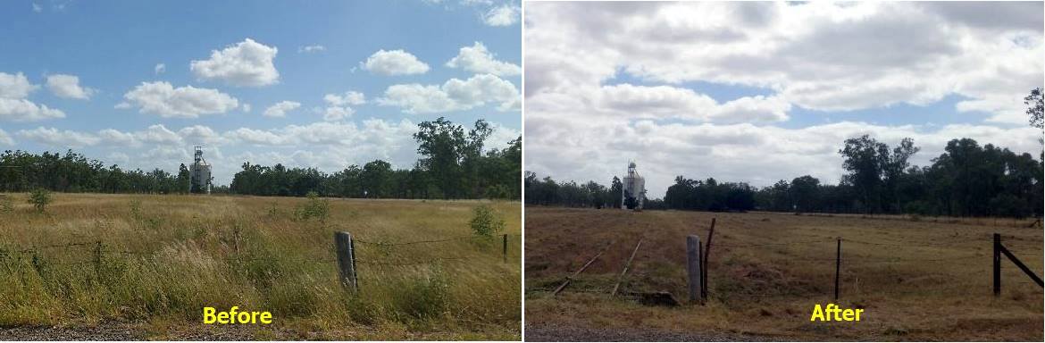 Grazing Pines - experienced slashing contractors for any job large or small